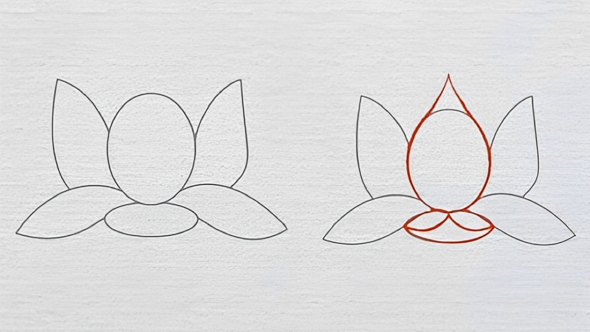 Vẽ hoa sen: 20 cách vẽ đẹp, đơn giản dễ dàng thực hiện